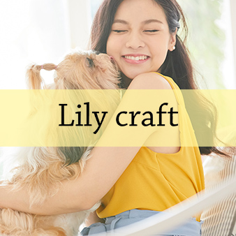 blog | Lily craft